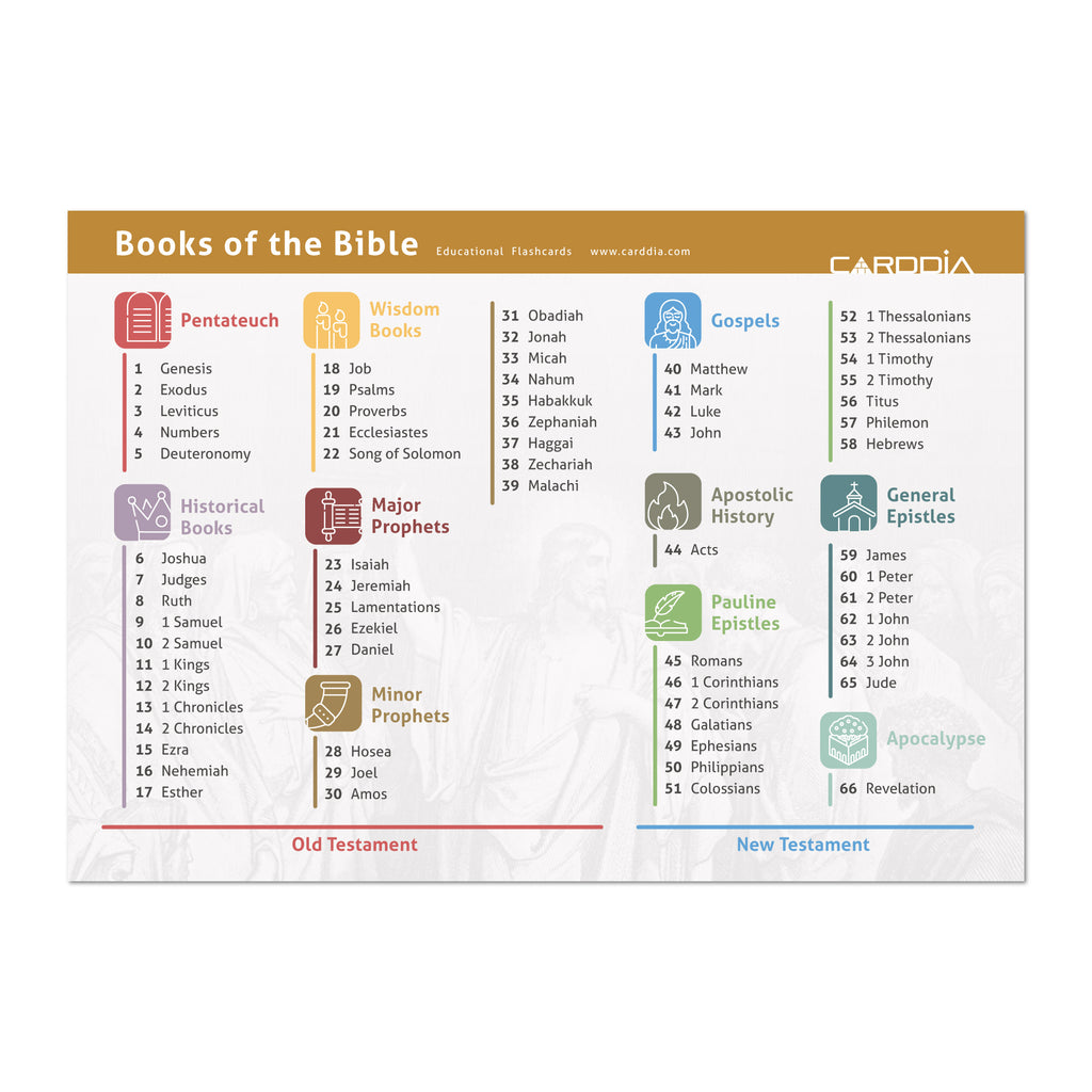 Books of the Christian Bible Educational Flashcards (New Edition)